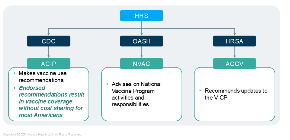 Vaccine Policy and Access Under New HHS Leadership | Avalere Health ...
